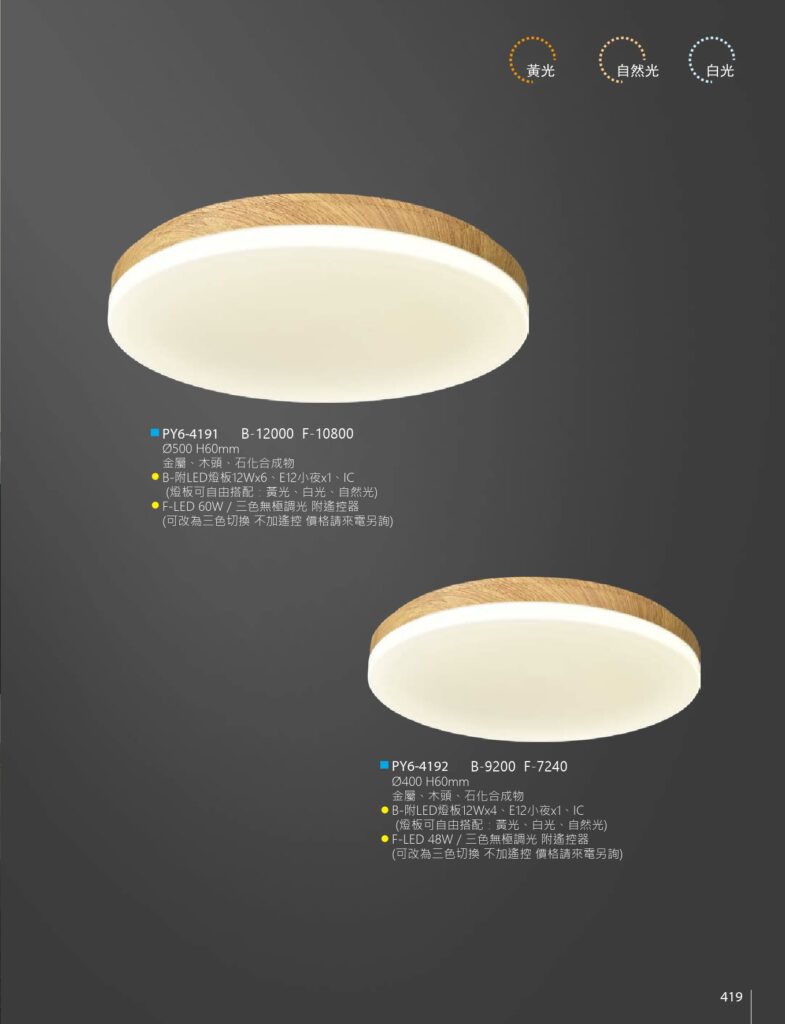 PY6-P419 - 緯達燈飾